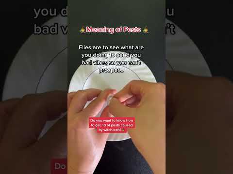 Meaning of Pests in Witchcraft