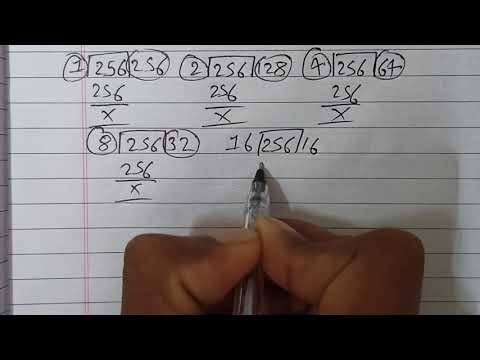 factors of 256