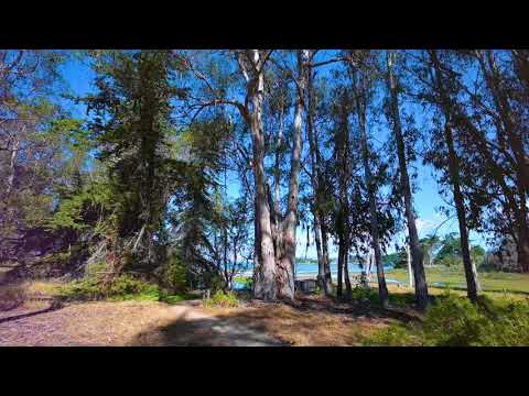 559 Ash St. Los Osos, Ca 93402 | Home for Sale | Renier A. Dresser