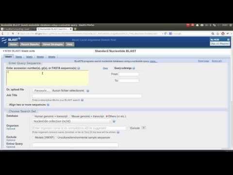 Use of NCBI BLAST for two sequences (pairwise alignment)