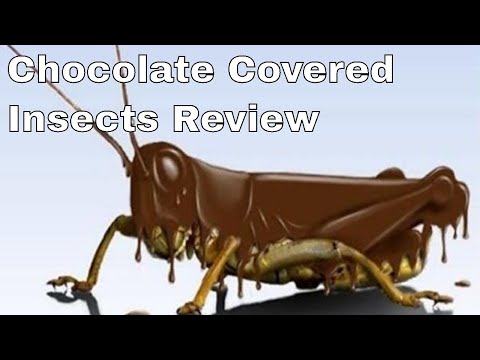 π Chocolate Covered Insects Review