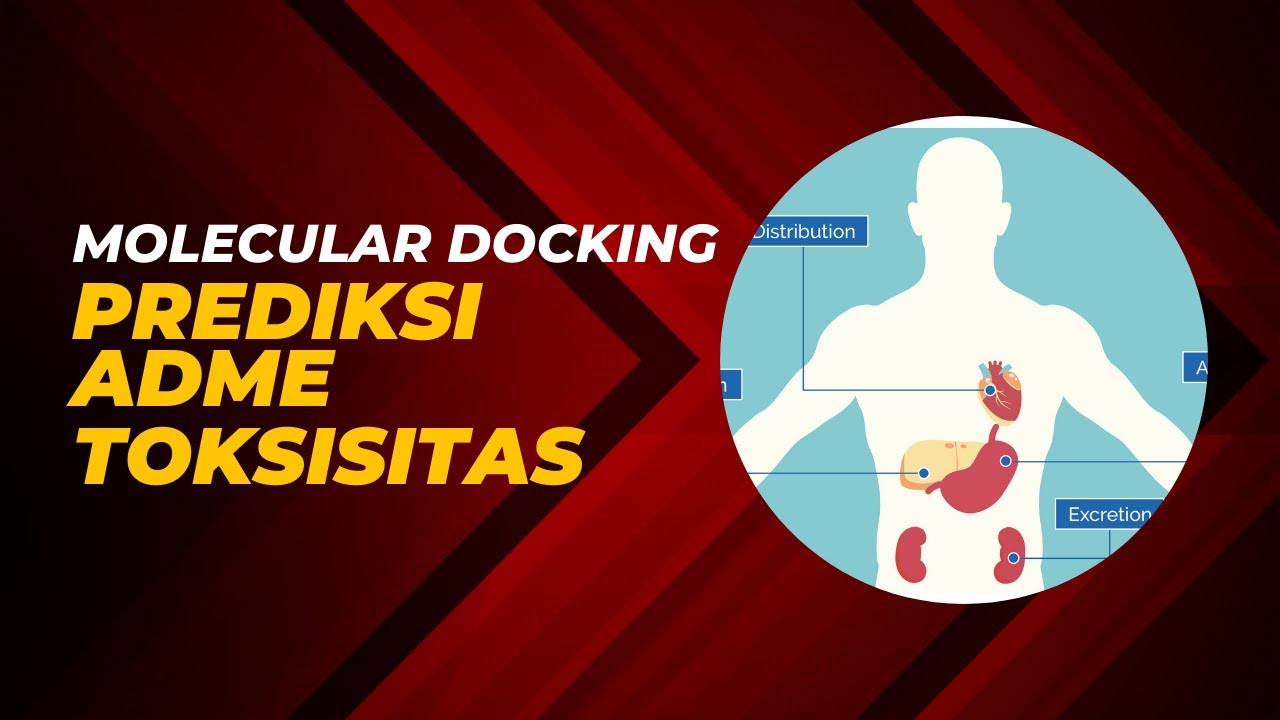 Medicinal Chemistry (Molecular Docking) - ADME & Toxicity Prediction