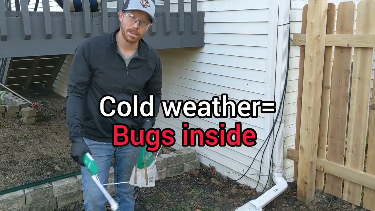 BEST DIY PEST CONTROL + PET & KID FRIENDLY