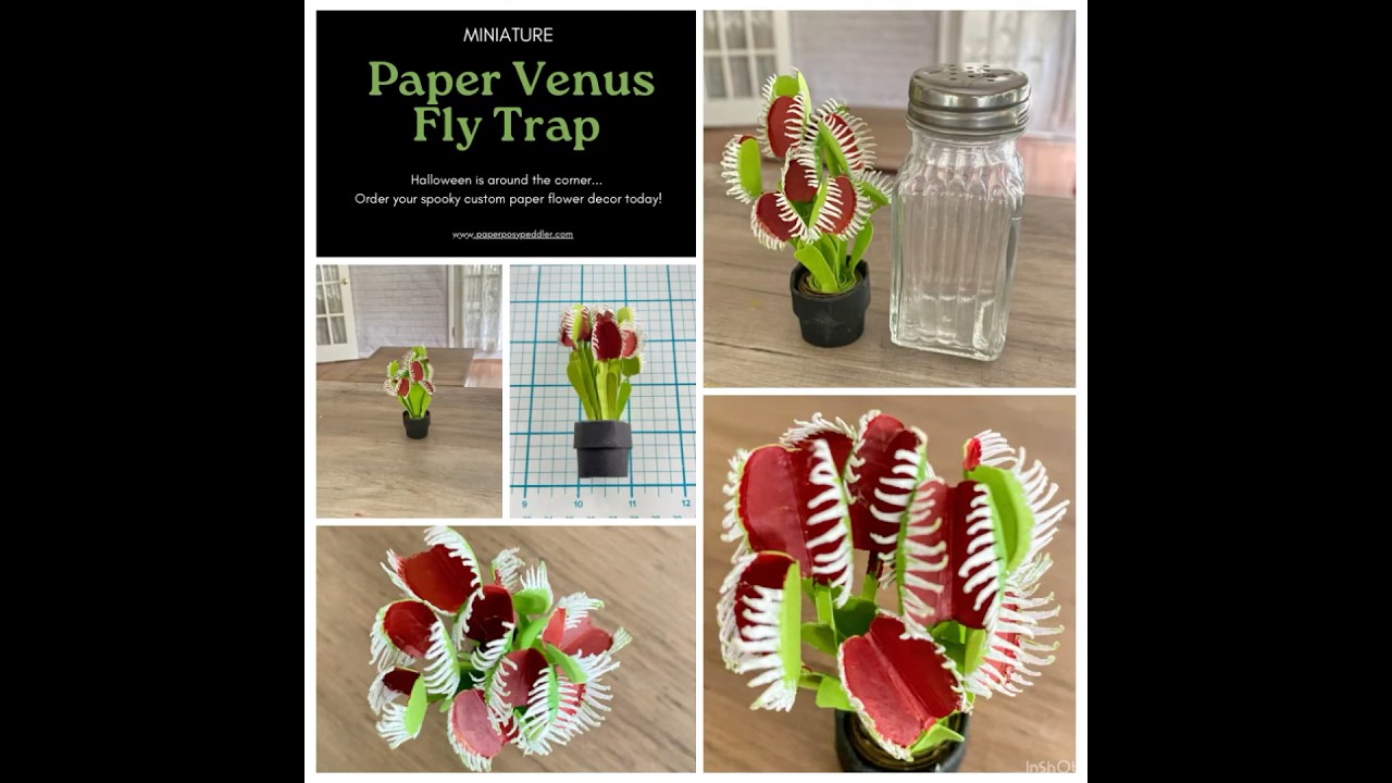 Mini Paper Venus Fly Trap ✨🪴 (Don’t Worry… It Won’t Bite!)