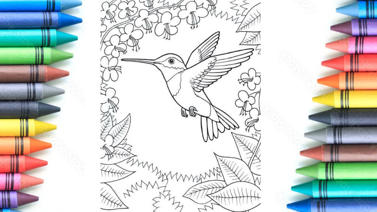 Nature coloring pages ||cute bird coloring pages ||easy flower coloring nature pages