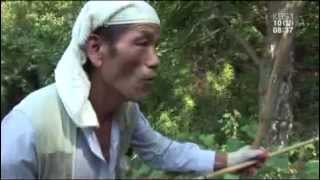 [LOL] 충청도식 애쉬.swf - 인스티즈(instiz) 이슈 카테고리