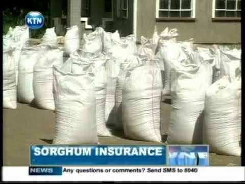 CIC Insurance Group introduces Sorghum insurance