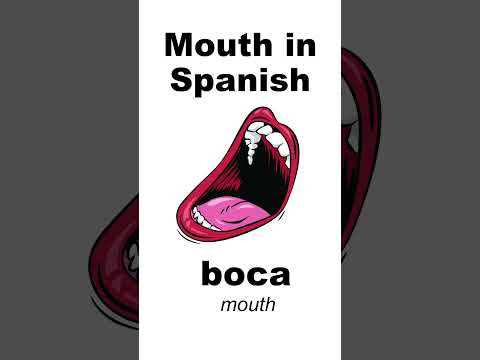 Learn Spanish - Mouth