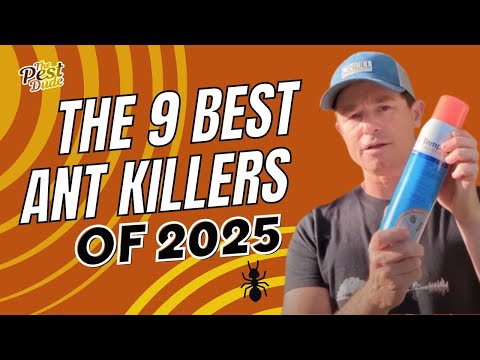 The 9 Best Ant Killers of 2025, According to an Exterminator