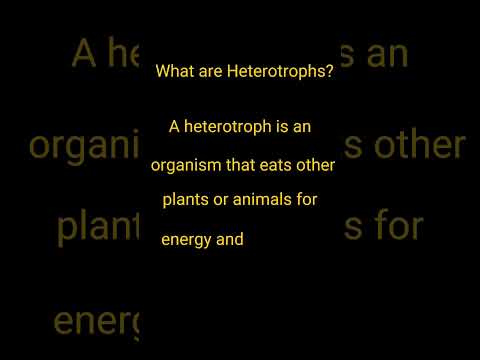 What are Heterotrophs | Heterotrophs | Define Heterotrophs #shorts #ytshorts #short #ytshortsindia