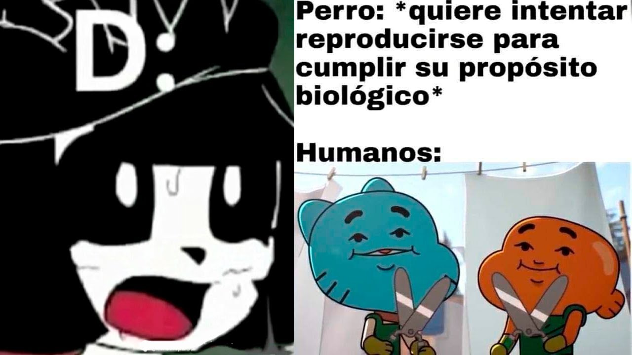 Videos Random | Memes Compilation | Shitpost Compilation #5