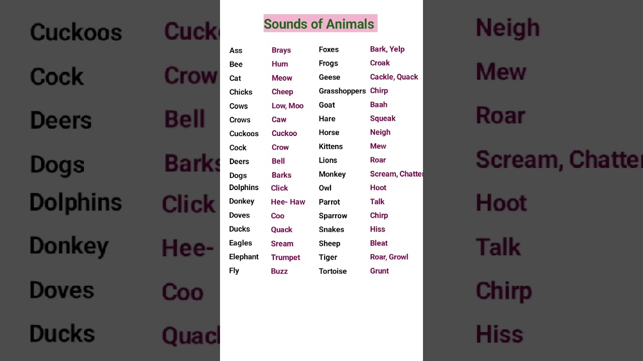 Sounds of animals #soundofanimals #sounds #shorts
