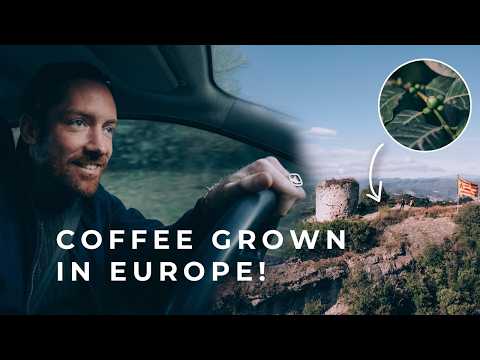Exploring Europe's FIRST COFFEE FARM in Continental Climate – Finca Castellvilar, Catalonia