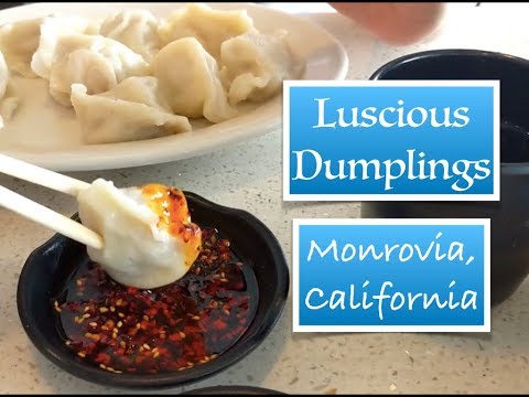Luscious Dumplings Food Review - Monrovia, California
