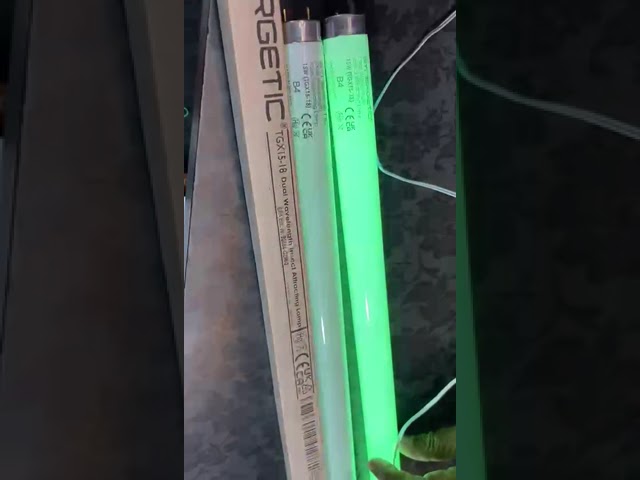 PHILIPS EBP 254 TL5 NON DIMMABLE ELECTRONIC BALLAST & PHILIPS SUMO ...