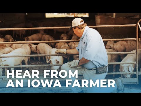What YOU Need to Know About Farming