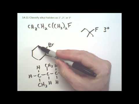 OBio 14.11 Identifying primary, secondary, and tertiary alkyl halides