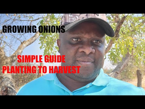 Profitable Onion Farming: Tips & Techniques In 2024