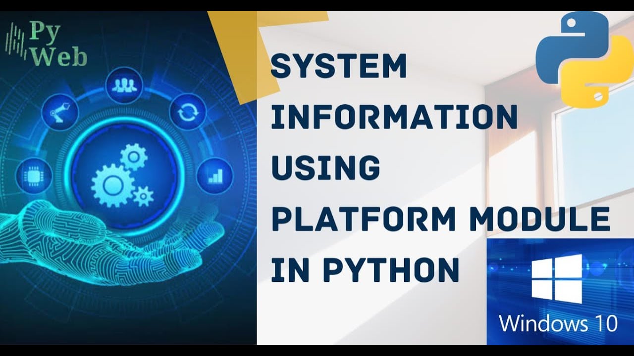 System information using python 