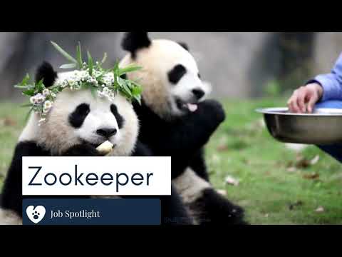 How to become a Zookeeper in Australia