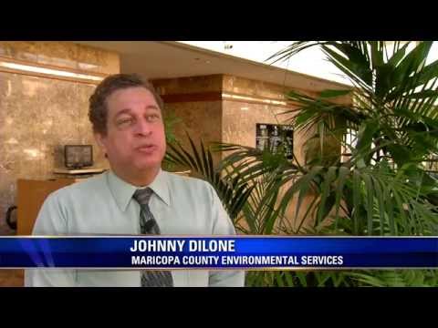 How to protect yourself and your property from mosquitoes