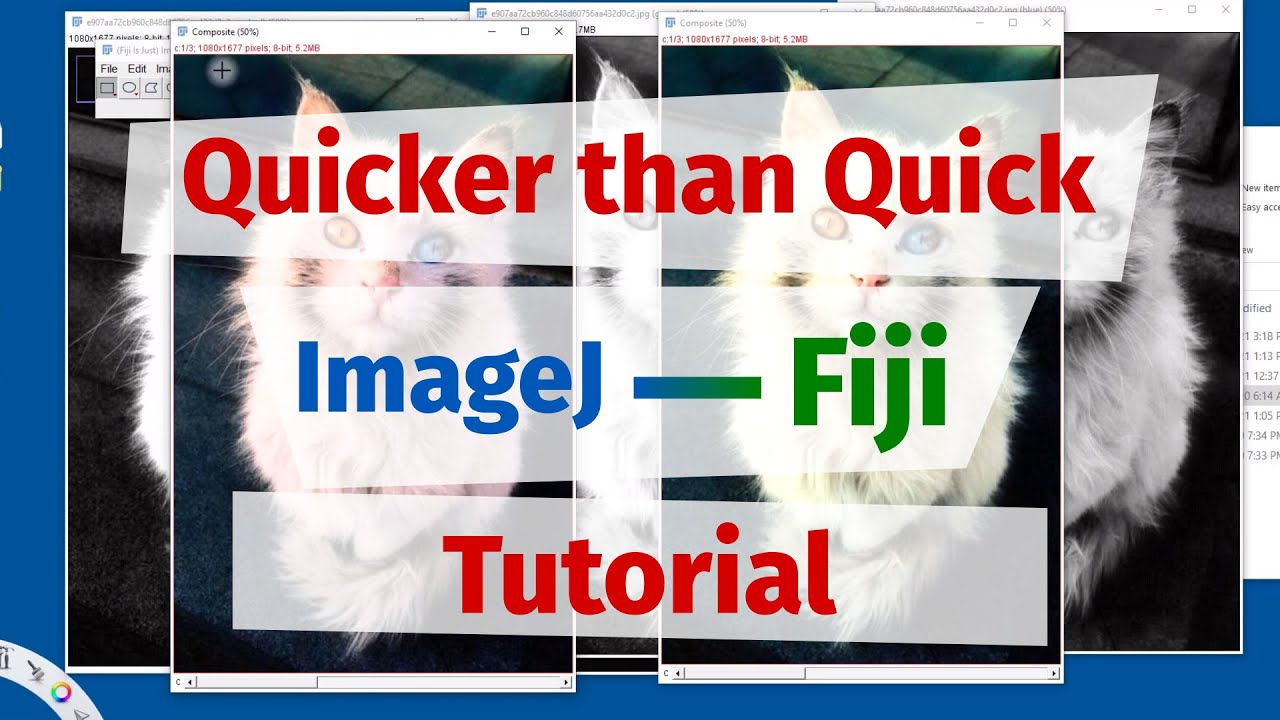 ImageJ - Fiji. Quick Tutorial