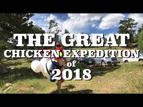 The Great Chicken Expedition of 2018