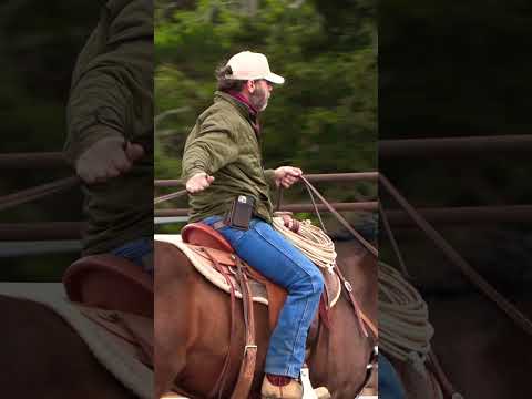 BAR SS Cattle Company. #western #cowboys #ranch #ranching #cattle #westernlifestyle