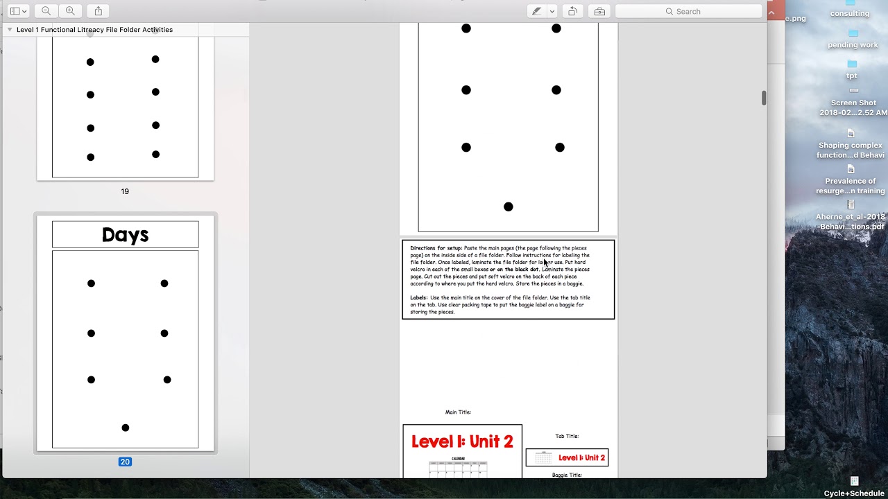 Level 1 Functional Literacy File Folder Activities Product Preview