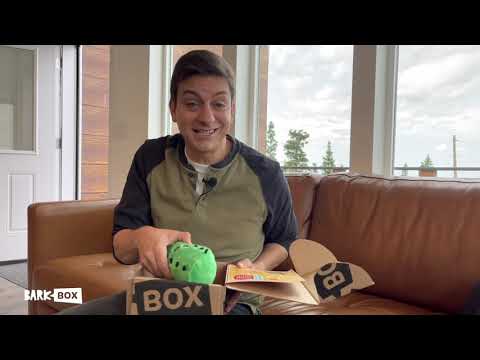 Plush Toy Obsessed Dog? Barkbox Is The Greatest Thing Ever