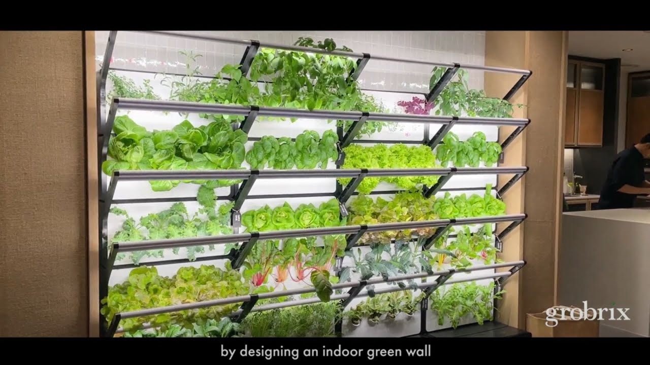 Seed change | Grobrix