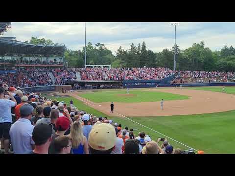 UVA Baseball is Headed Back to Omaha! Final Out at Charlottesville Super Regional 2024