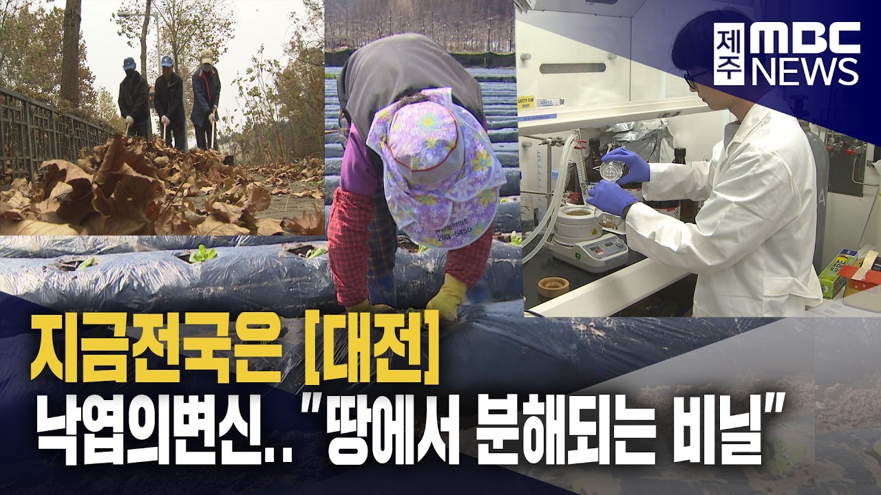 [대전]낙엽의 변신⋯"땅에서 분해되는 농업용 비닐"