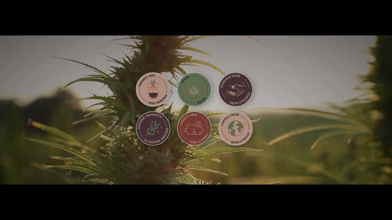 El origen, Veraseed CBD.