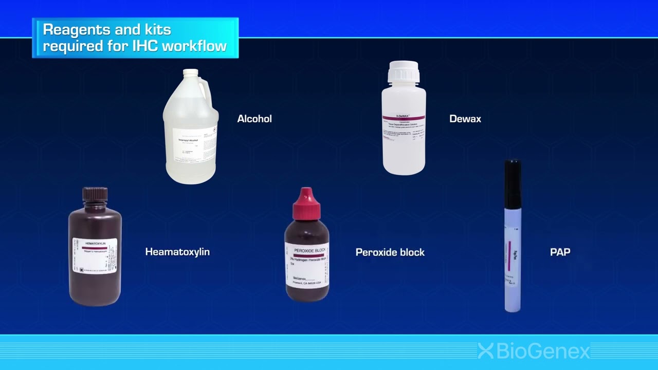 i6000™ Infinity – Multi-functional Staining System for Research