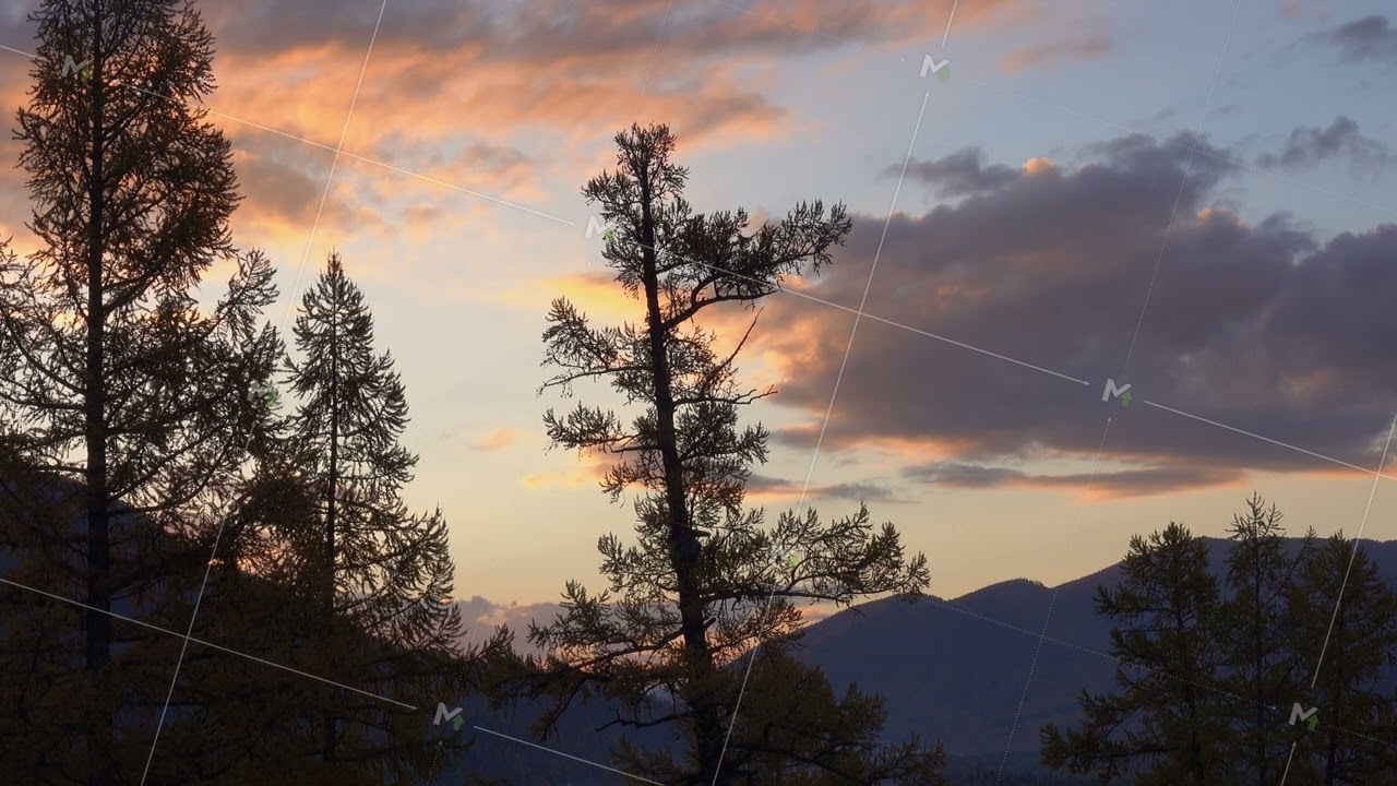 Serene sunset landscape with silhouette of trees and distant mountains in twilight