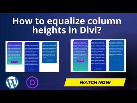 How to equalize column heights in the Divi Theme without any custom CSS