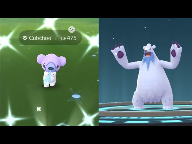 Pokemon GO: Can Cubchoo be Shiny?