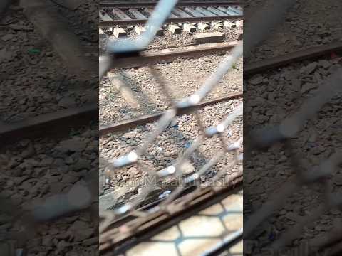 How to say 'I am traveling by train' in Marathi? #learnmarathieasily