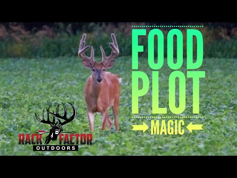How to turn a weed patch into a food plot in 3 hours: RACK FACTOR OUTDOORS