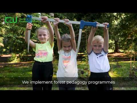 Environmental education at the Faculty of Forestry and Wood Sciences of the CZU in Prague