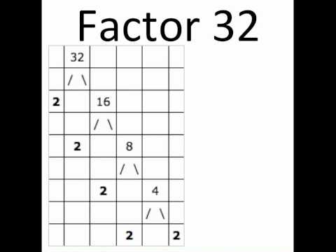 Factor A 32
