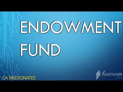 Quries about endowment fund 2023|CA ICAP | image resize