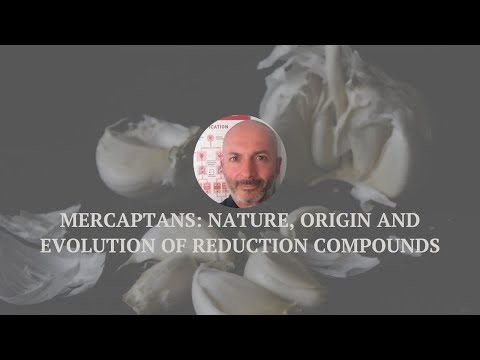 Mercaptans: nature, origin and evolution of these reduction compounds