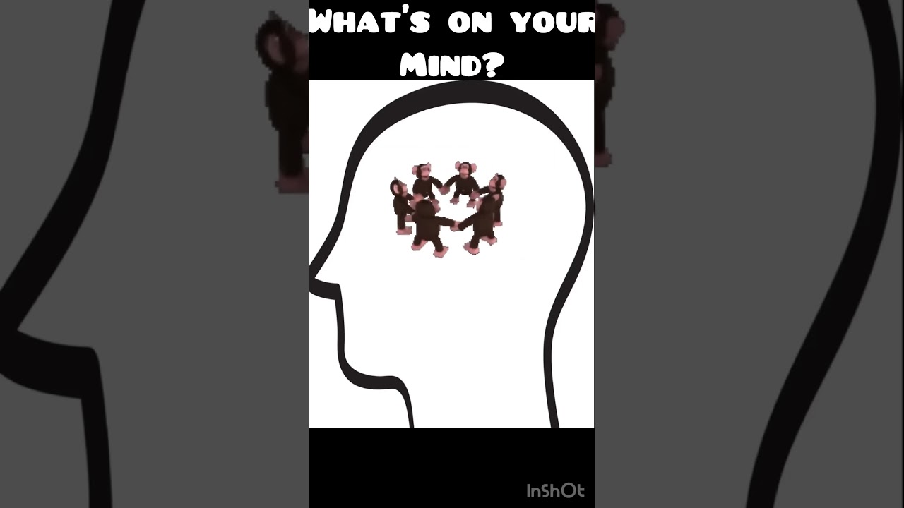 What’s on your mind? Meme video #meme #memes #shorts