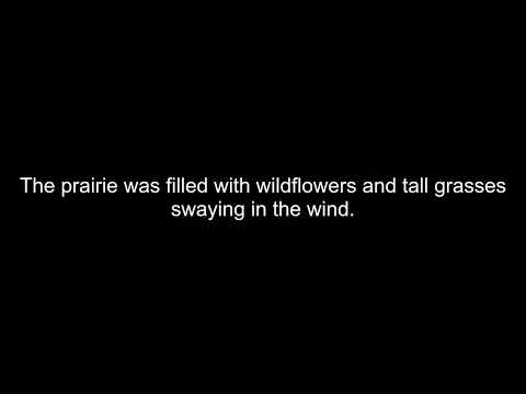 How To Pronounce Prairie