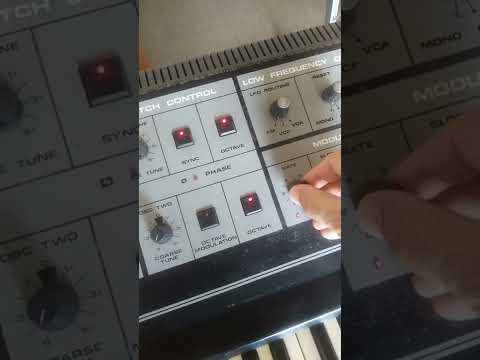 CRUMAR STRATUS Synthesizer and an Organ synth | Reverb