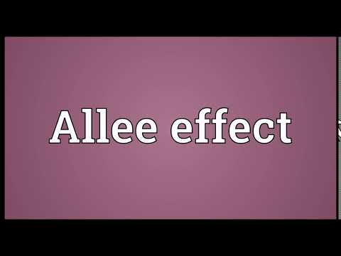 Allee effect Meaning | Wordogram