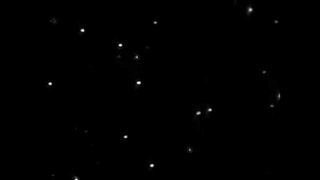 Large nanoparticles - Nanoparticle Tracking Analysis