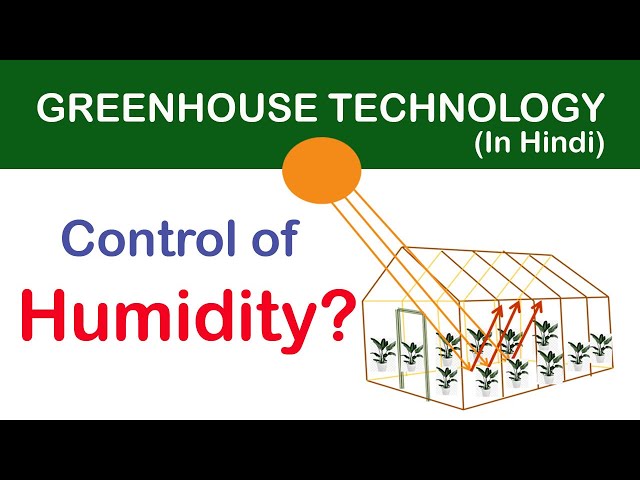 Understanding Humidity Control in Greenhouses: Key Concepts and ...